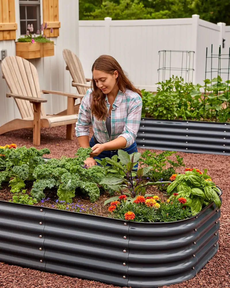 Community – Point Gardens